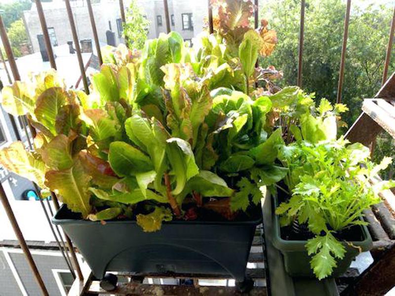 Small Space, Big Taste - Outside Rein