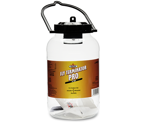 Catch a Buzz: 6 Solutions for Fly Control - Outside Rein